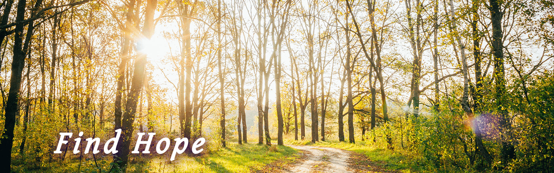 Crystal Jessee | Reflections Christian Counseling | Brownsburg, IN 46112